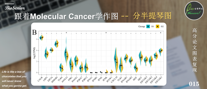 跟着Molecular Cancer学作图 -- 分半小提琴图 - 知乎