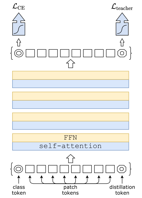 Vision Transformer 超详细解读 (原理分析+代码解读) (三) - 知乎