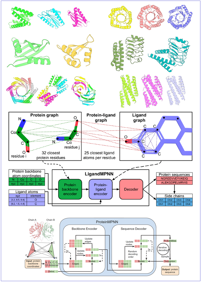 RFdiffusion与ProteinMPNN蛋白质设计深度学习技术应用 - 知乎