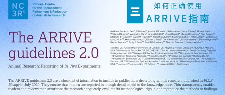 《动物研究：体内实验报告》系列解读（三）：如何正确使用ARRIVE指南 - 知乎
