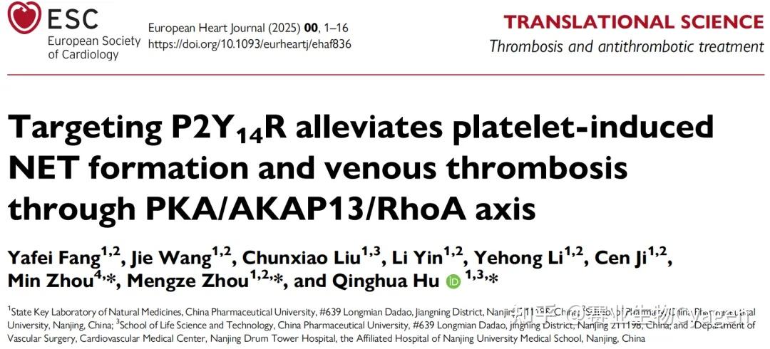 Eur Heart J（IF=35.6）| 中国药科大学/鼓楼医院团队合作发现中性粒细胞P2Y14R是防治静脉血栓的潜在新靶点 - 知乎