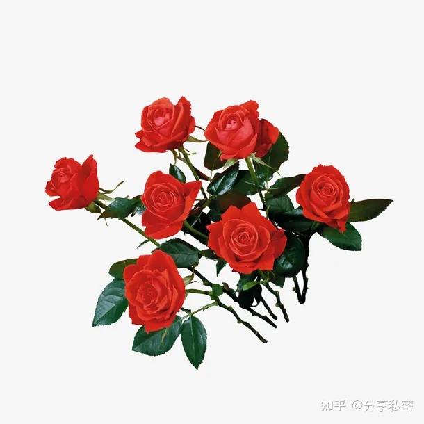 性生活时阴蒂疼痛是怎么回事 知乎 3769