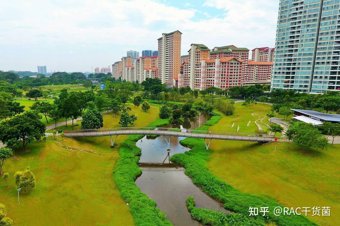 一个你所不知道的Bishan Park - 知乎