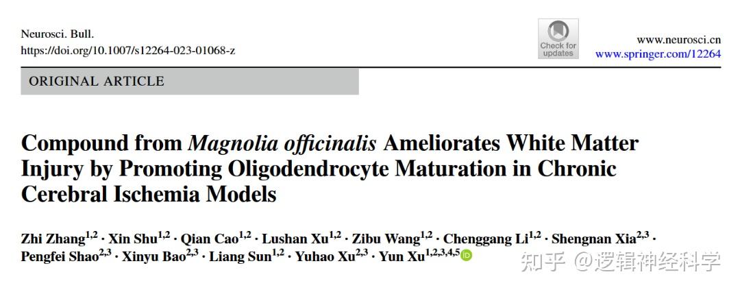 Neurosci Bull︱南京大学徐运课题组揭示小分子药物和厚朴酚改善缺血性脑白质损伤和相关认知障碍的机制 - 知乎