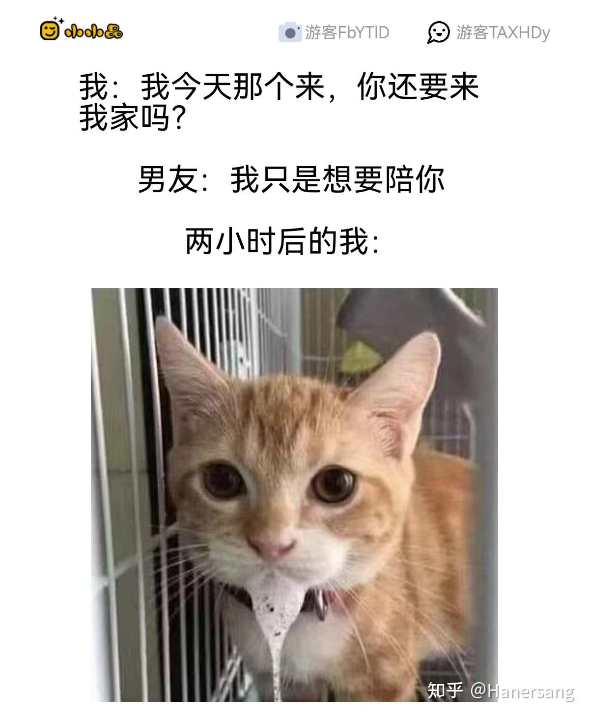 有哪些有趣的meme？ - 知乎