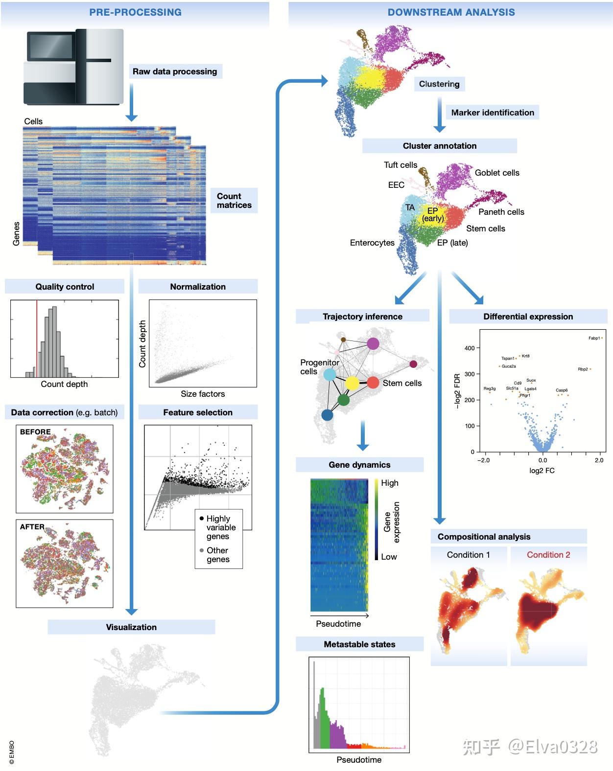 目前最佳的single cell RNA sequencing分析实践指南 - 知乎