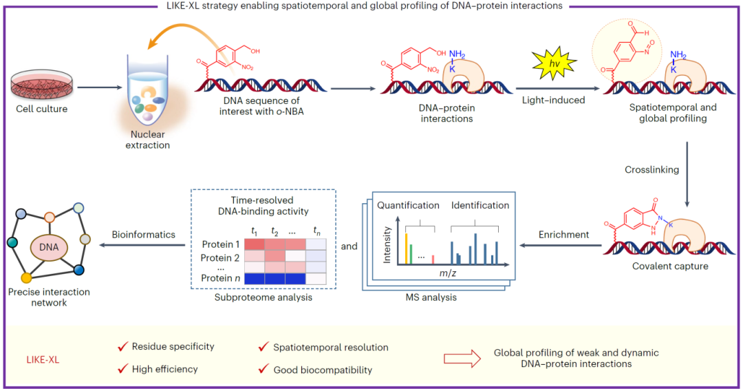 速来围观！研究转录因子-启动子互作的“新技术” - 知乎