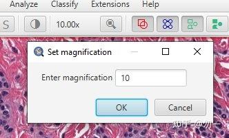 【数字病理】病理图像开源分析工具QuPath入门 - 知乎