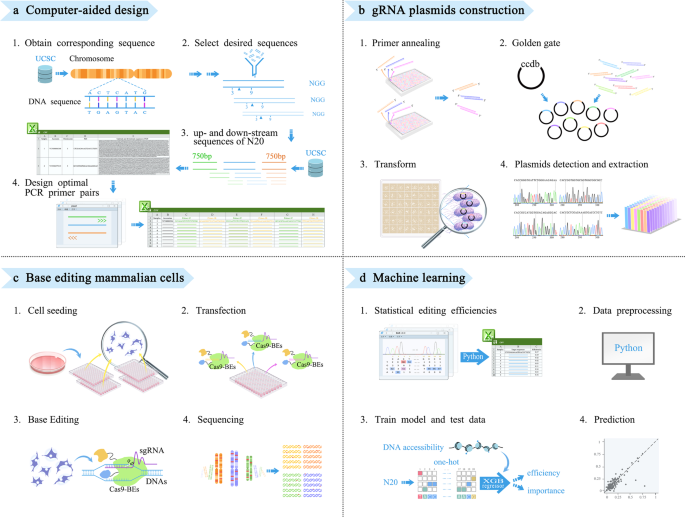 Nature Communications | AI辅助自动化高通量基因编辑平台 - 知乎