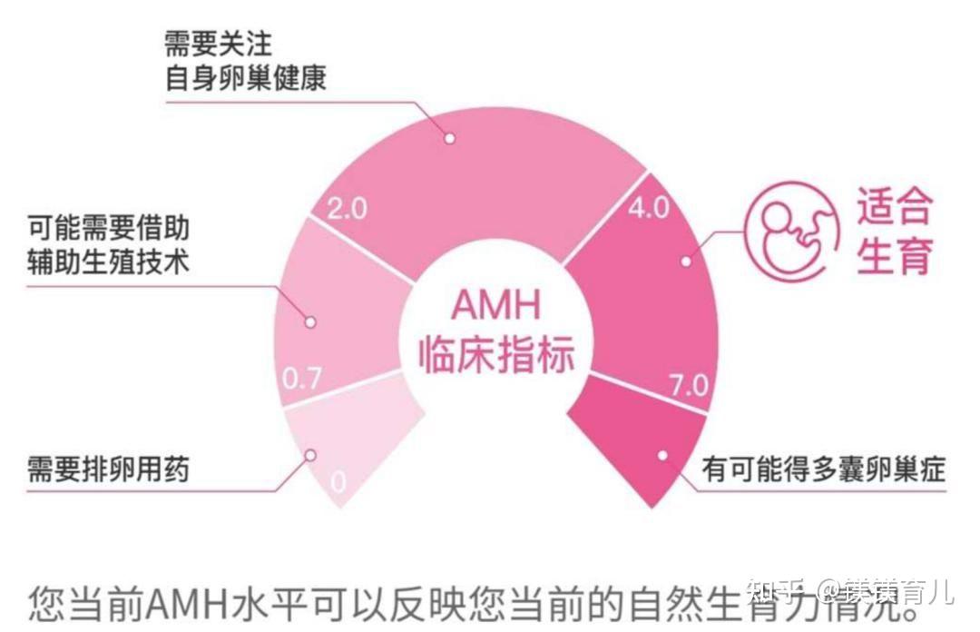 AMH低怎么办？还有可能回升吗？ - 知乎