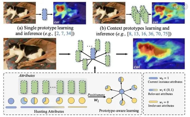 CVPR 2024 | 让模型关注你想要的任何属性！CPAL：弱监督语义分割新网络 - 知乎