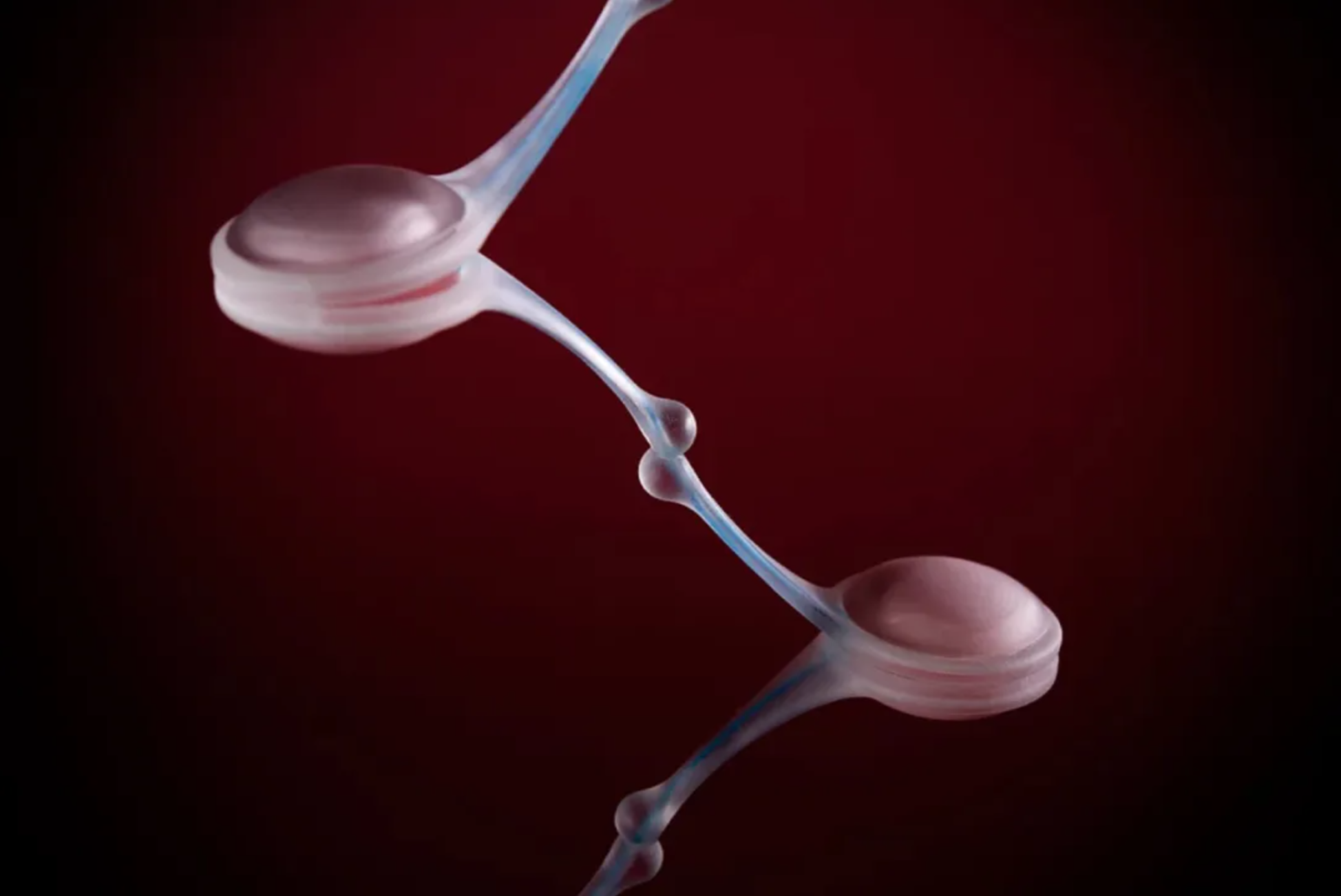 案例分享：Neo Fruit丨Speculative Design - 知乎