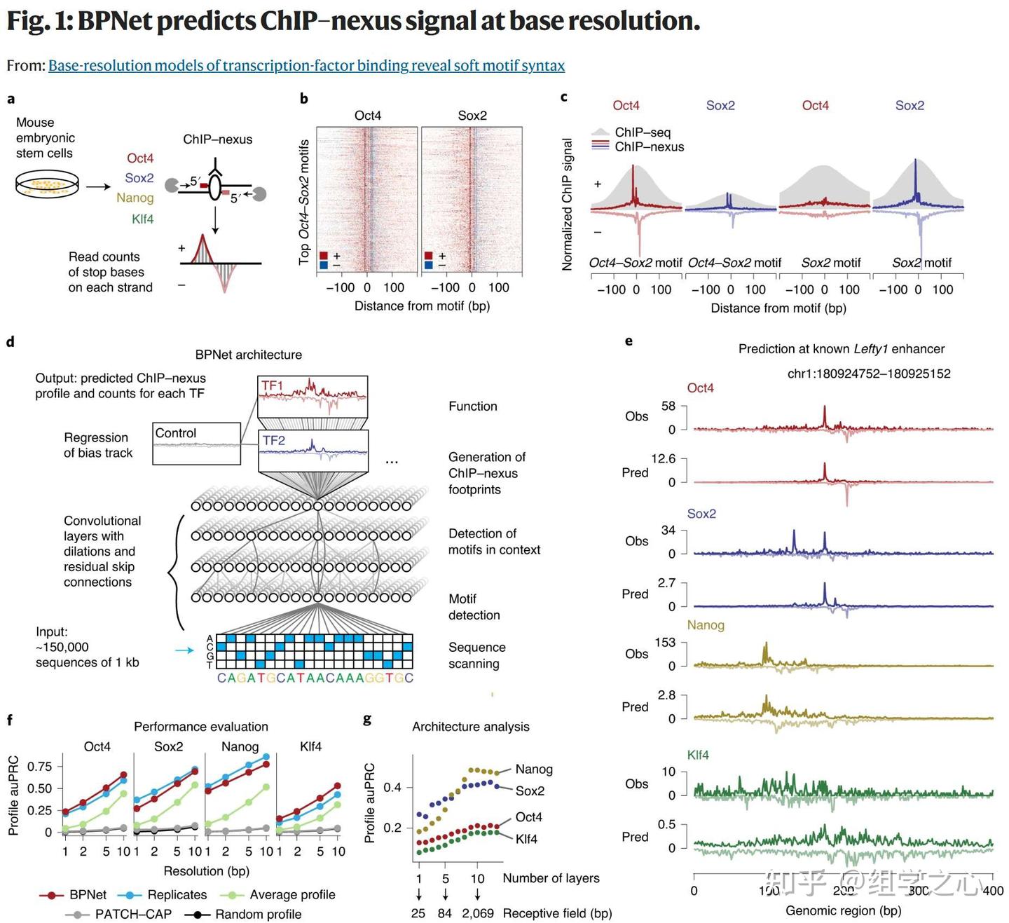 Nat Rev Genet | 如果DNA序列能“说话”？深度学习S2E（序列2表达）模型正在听懂基因组的调控秘密！ - 知乎