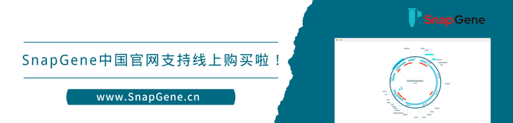 SnapGene - 知乎