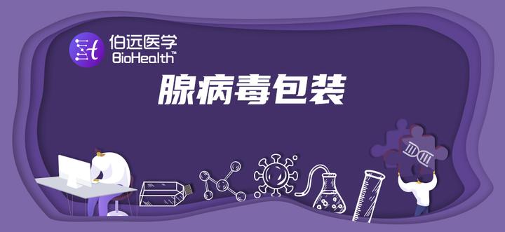 一文带你了解腺病毒包装的世界 知乎