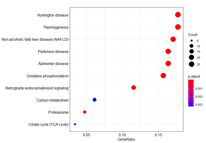 GO富集气泡图详解 - 知乎