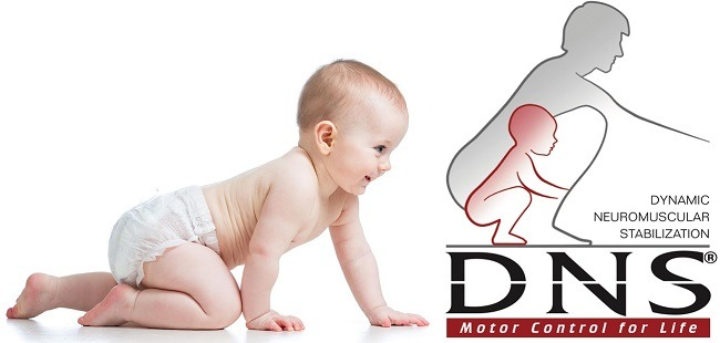 【运动康复大师课：什么是DNS技术？为何腹内压动态稳定很重要？】 - 知乎