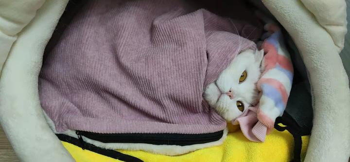 2022 SpringCloud面试题（持续收纳） - 知乎