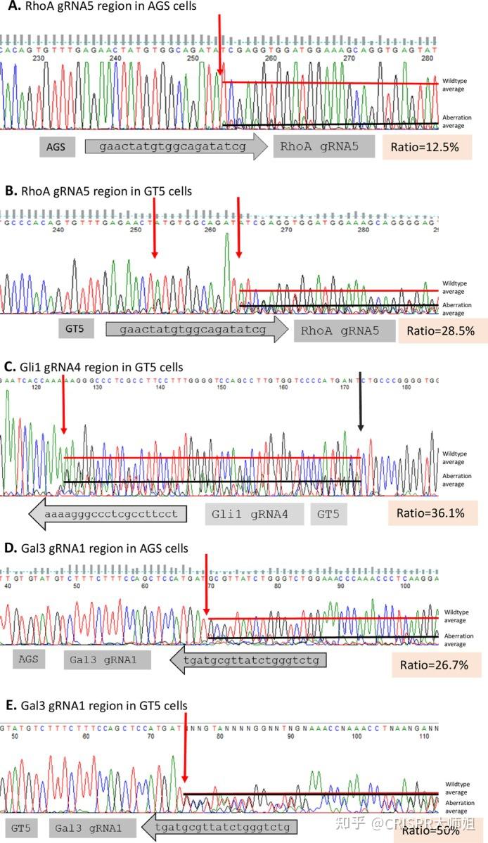 CRISPR/Cas9基因敲除的新突破：荧光标记与基因拯救的完美结合 - 知乎