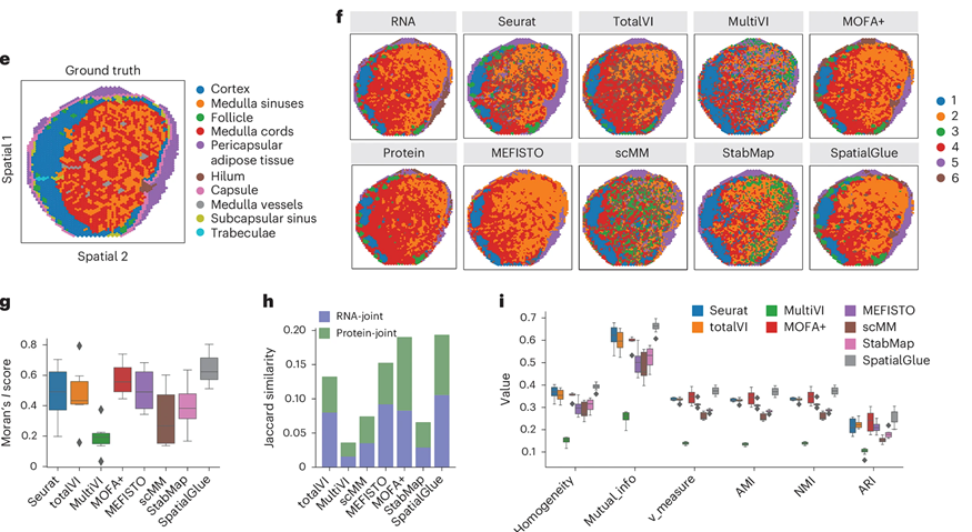 分享一个空间多组学整合算法SpatialGlue - 知乎