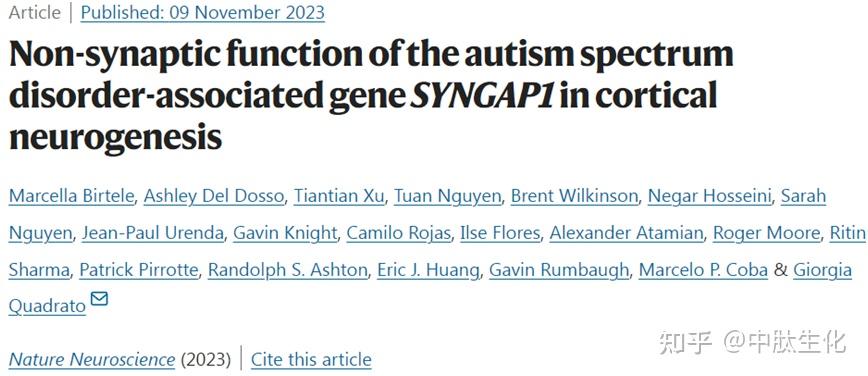 Nat Neurosci：揭示SYNGAP1基因在早期的大脑发育中起着重要作用 - 知乎