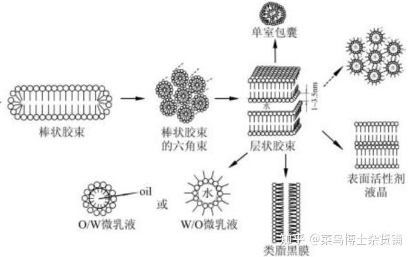 【自用笔记】胶束形成，增溶相互作用，及其表征方法等文献总结 - 知乎
