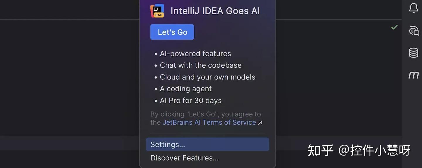Java开发工具IntelliJ IDEA v2025.1——全面支持Java 24、整合AI - 知乎