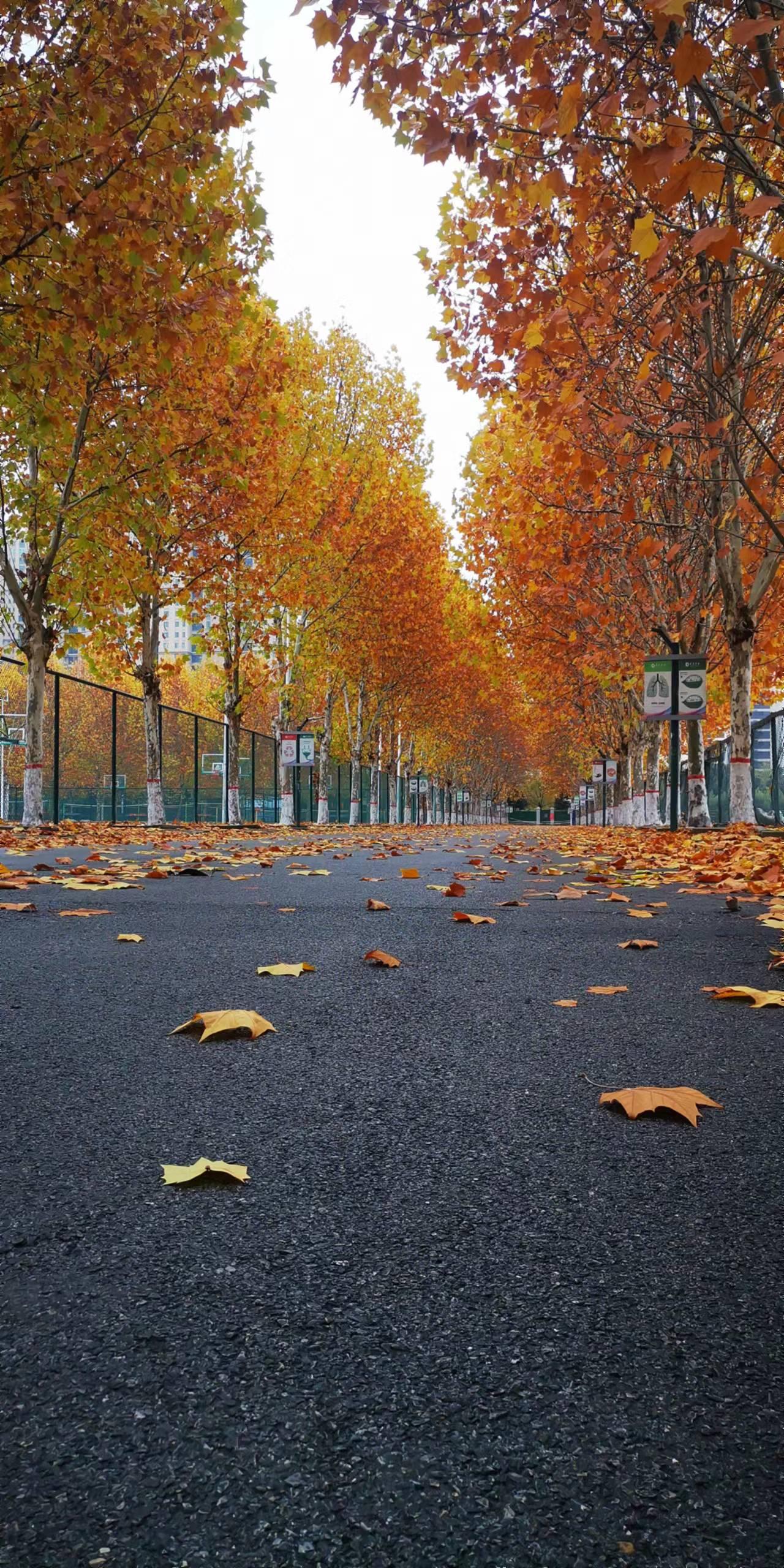 cuda toolkit 安装一直在installing nsgiht visual studio edition不动问题解决 - 知乎