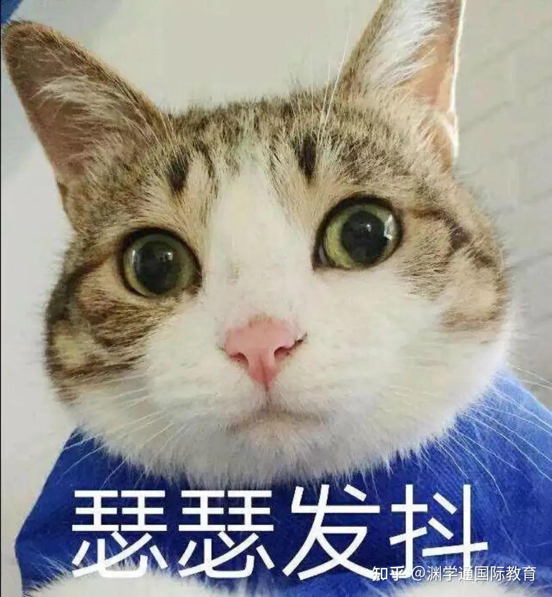 IG英语可以平替雅思！ESL&EFL如何选「性价比」最高？ - 知乎