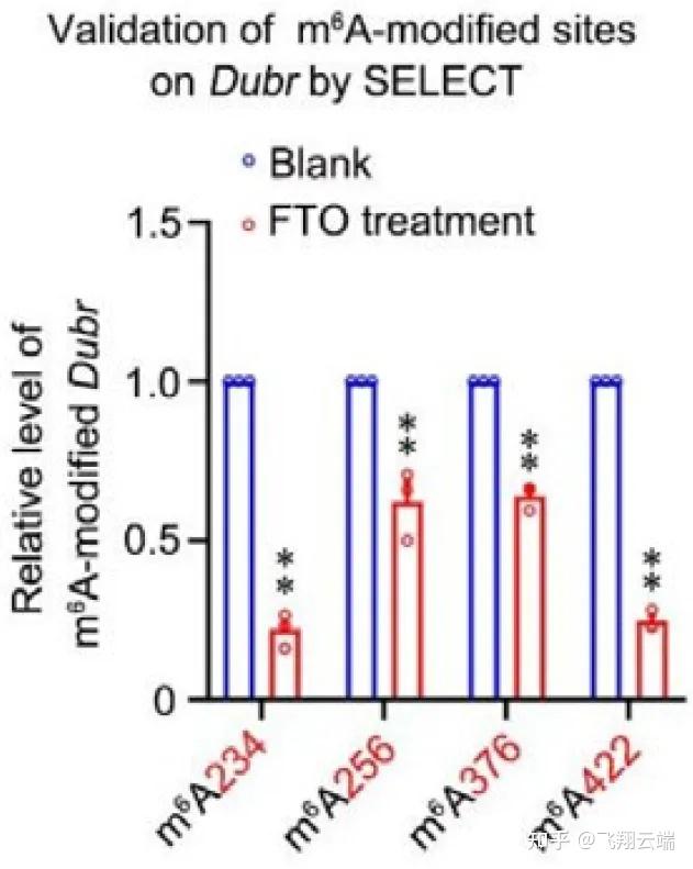 MeRIP PCR新技术，不能不知道：SELECT PCR-单碱基分辨率、无需抗体、周期短 - 知乎