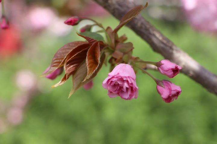 《新概念英语》第二册 A cold welcome - 知乎