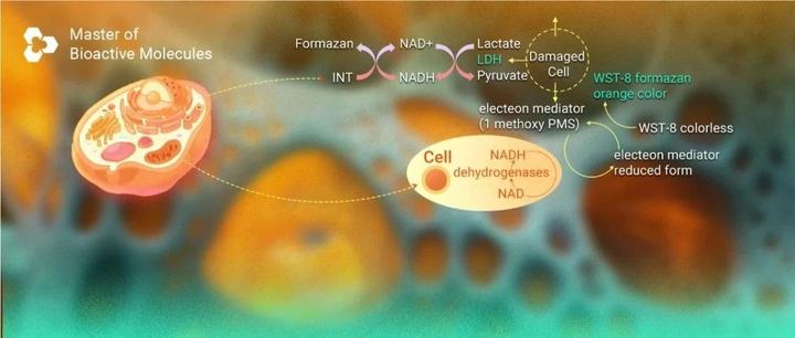 CCK-8 实验详细教程 | MedChemExpress (MCE) - 知乎