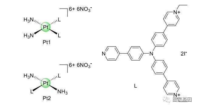 Che Rev | 调节性细胞死亡机制的诱导剂 - 知乎