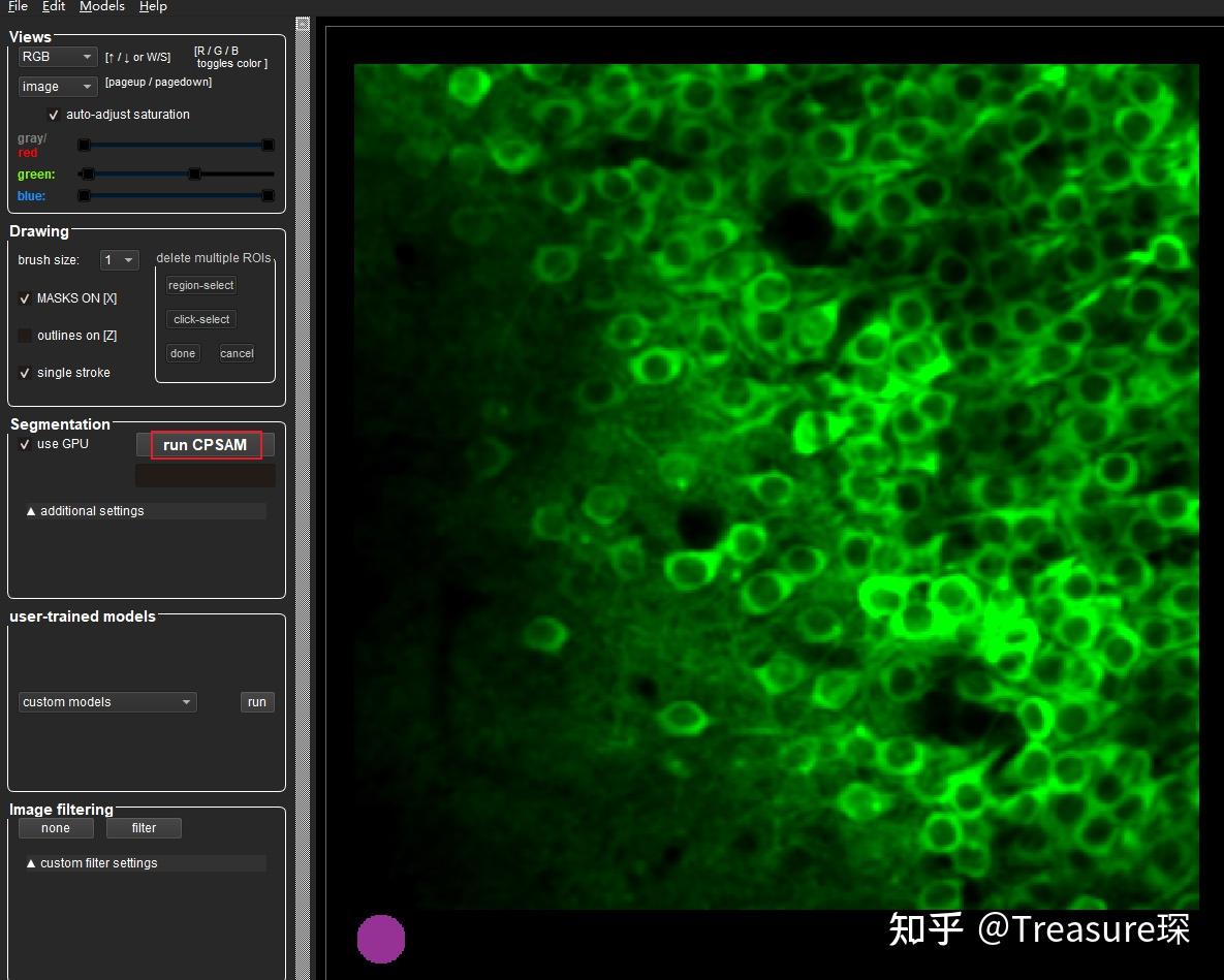 Cellpose 4.0的安装和使用 - 知乎
