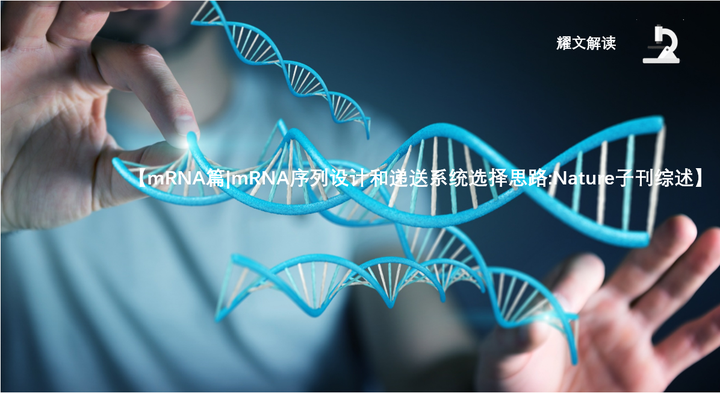 【耀文解读】mRNA篇|mRNA序列设计和递送系统选择思路：Nature子刊综述 - 知乎