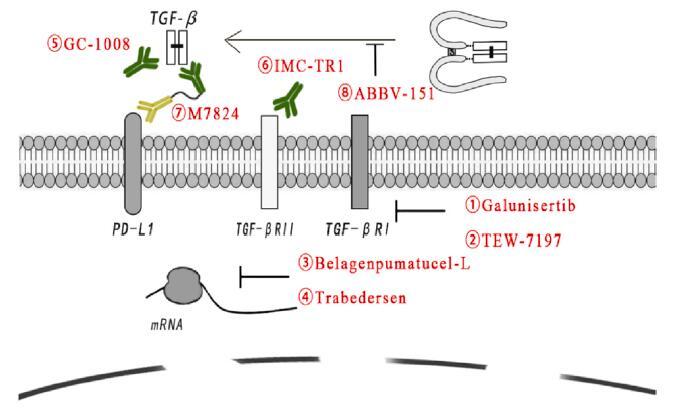 TGF-β在肿瘤微环境和肿瘤治疗中的作用 - 知乎