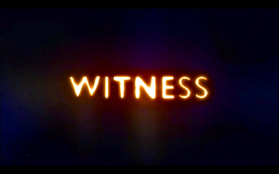 see = witness - 知乎