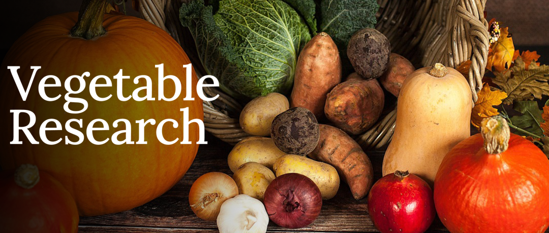 Vegetable Res | Julien Pirrello博士担任期刊联合主编 - 知乎