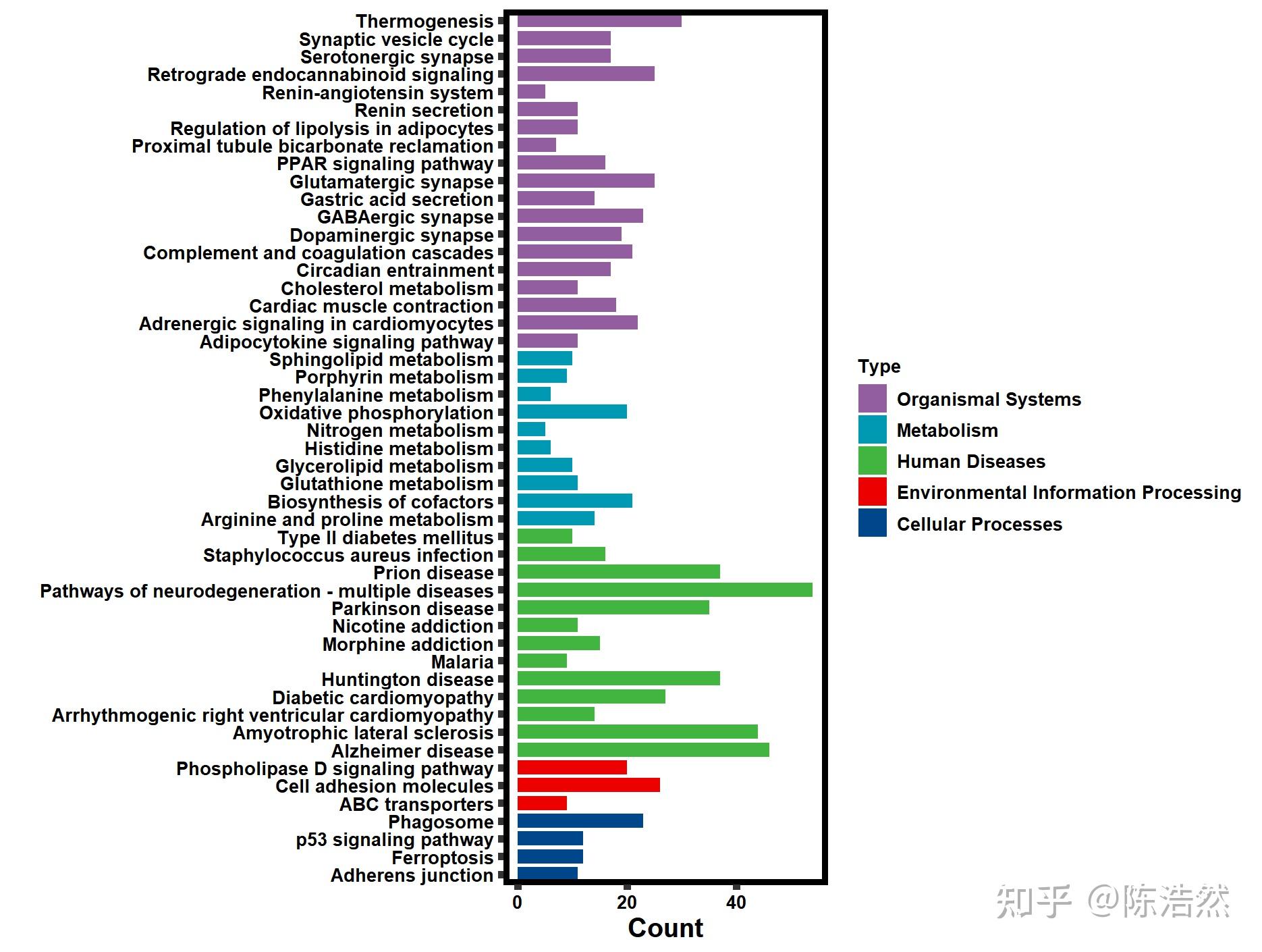 kegg 通路图如何绘制？ - 知乎