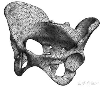 Gmsh 极简入门 - 知乎