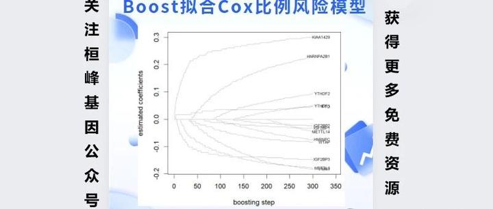 MachineLearning 24. 机器学习之似然增强Cox 比例风险模型筛选变量及预后估计 (CoxBoost) - 知乎