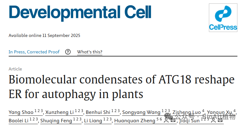 Dev Cell | 孙佳琦/郑环泉团队揭示ATG18相分离凝聚体介导内质网重构驱动植物自噬的新机制 - 知乎