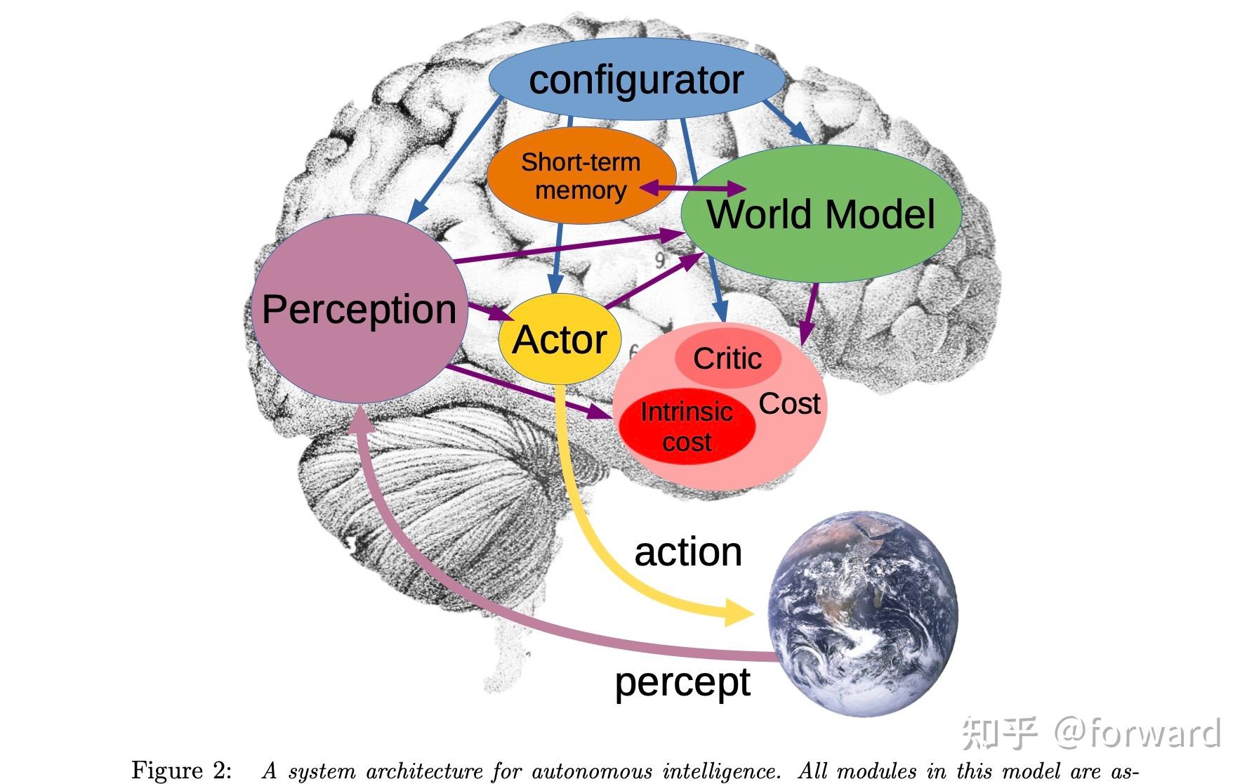 世界模型(World Models)是什么？ - 知乎
