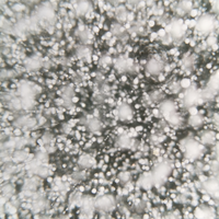 解决kali下pick up _JAVA_OPTIONS问题 - 知乎