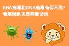 abinScience病毒科普解码计划 | 第1期 RNA病毒和DNA病毒有何不同？看基因组决定病毒命运 - 知乎