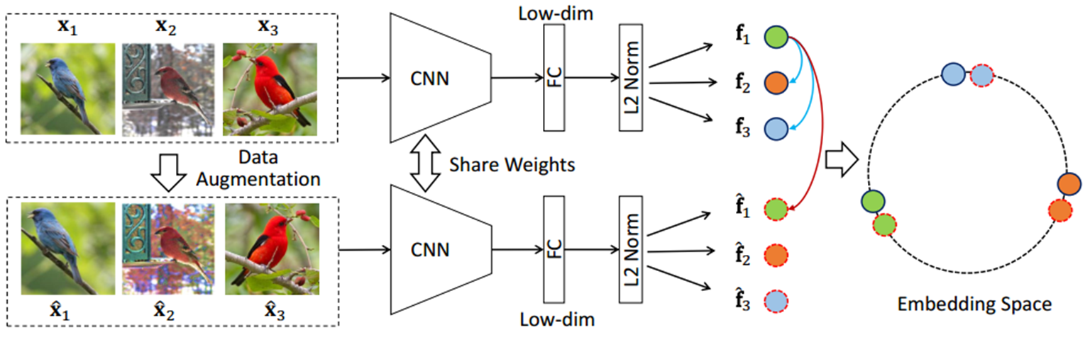 对比学习（Contrastive learning） - 知乎