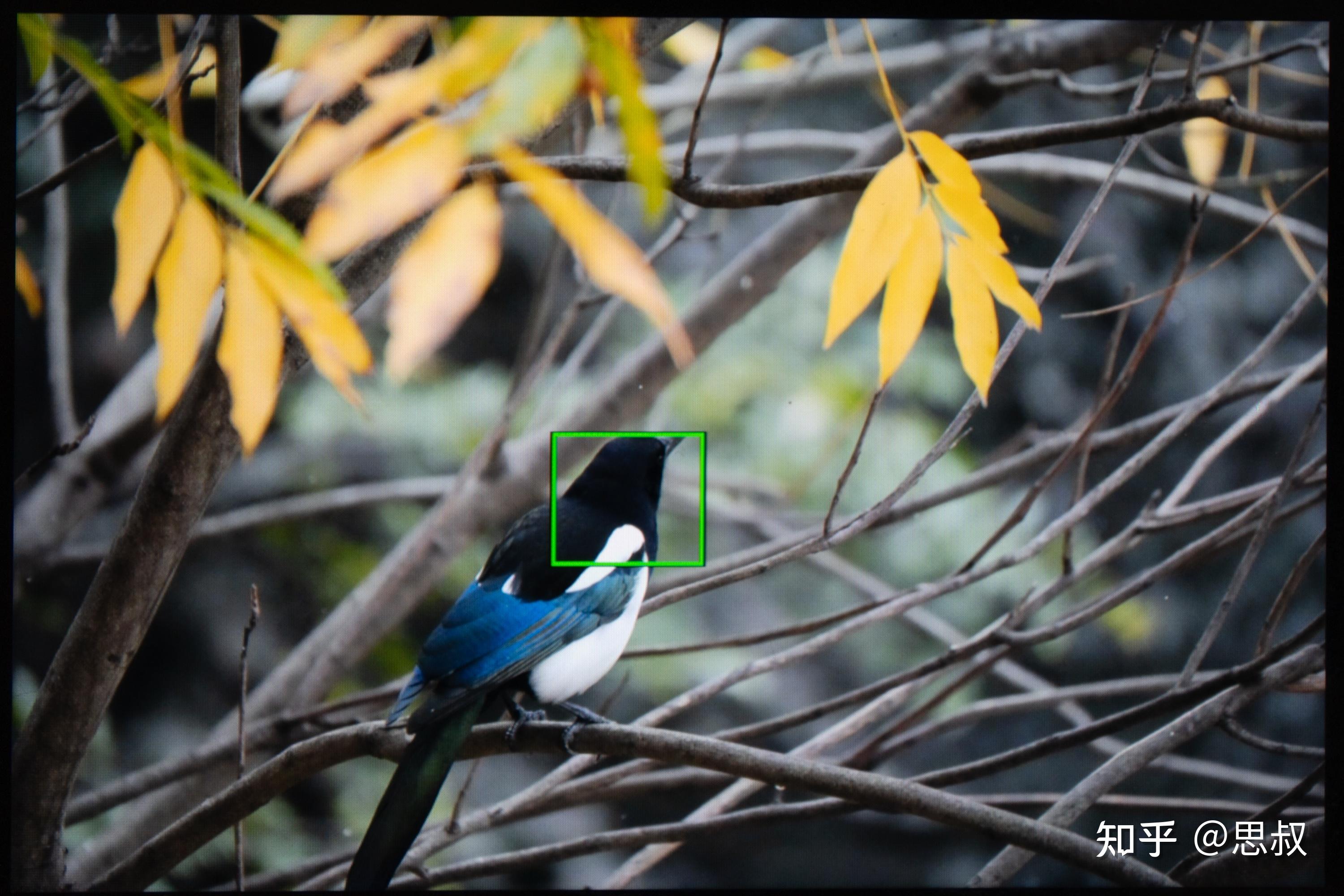 选A7R4A还是A7R5? - 知乎