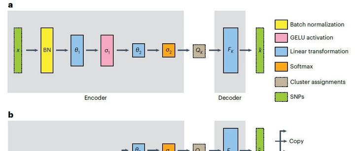 Neural ADMIXTURE：基于AI的快速基因组群体结构聚类工具 - 知乎