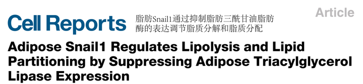 脂肪Snail1通过抑制ATGL的表达调节脂质分解 - 知乎