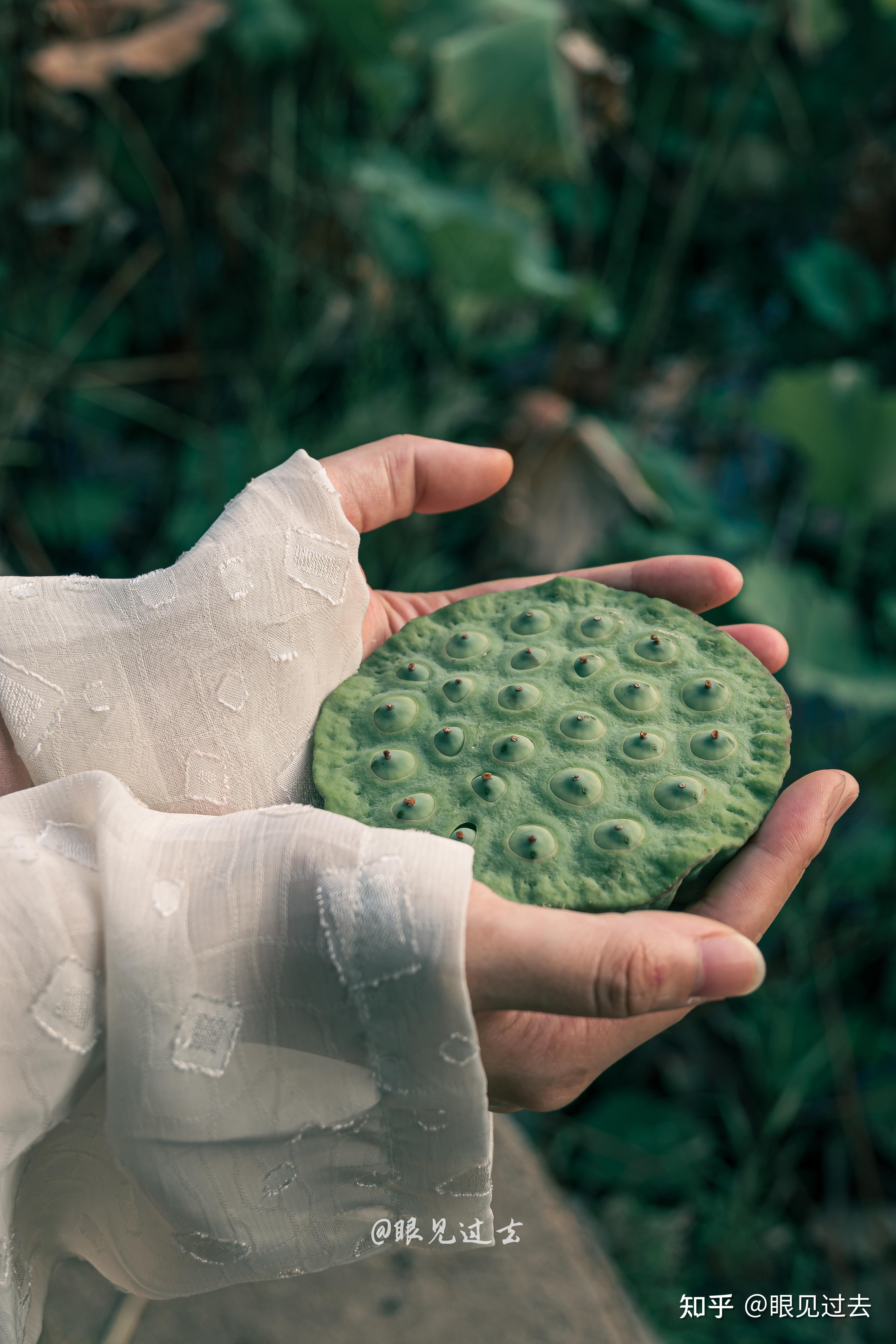 尼康z30，z50，z5哪个比较好？ - 知乎